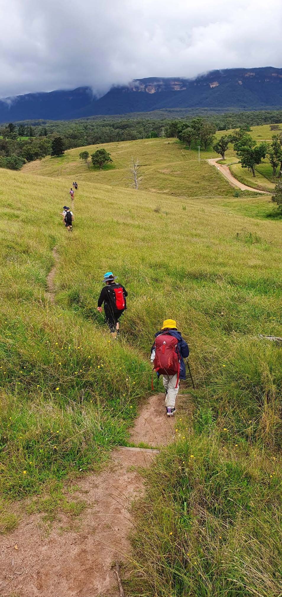 Hume Region | Scout Event