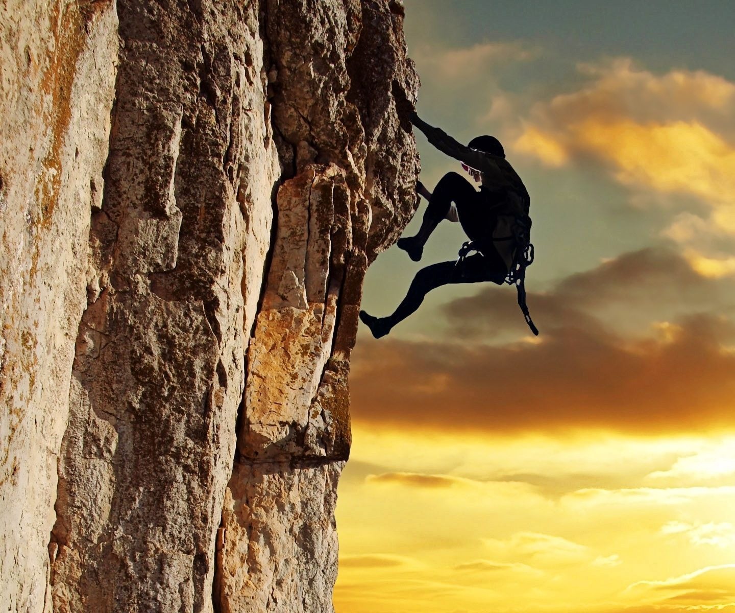 Scouts NSW | Scout Event