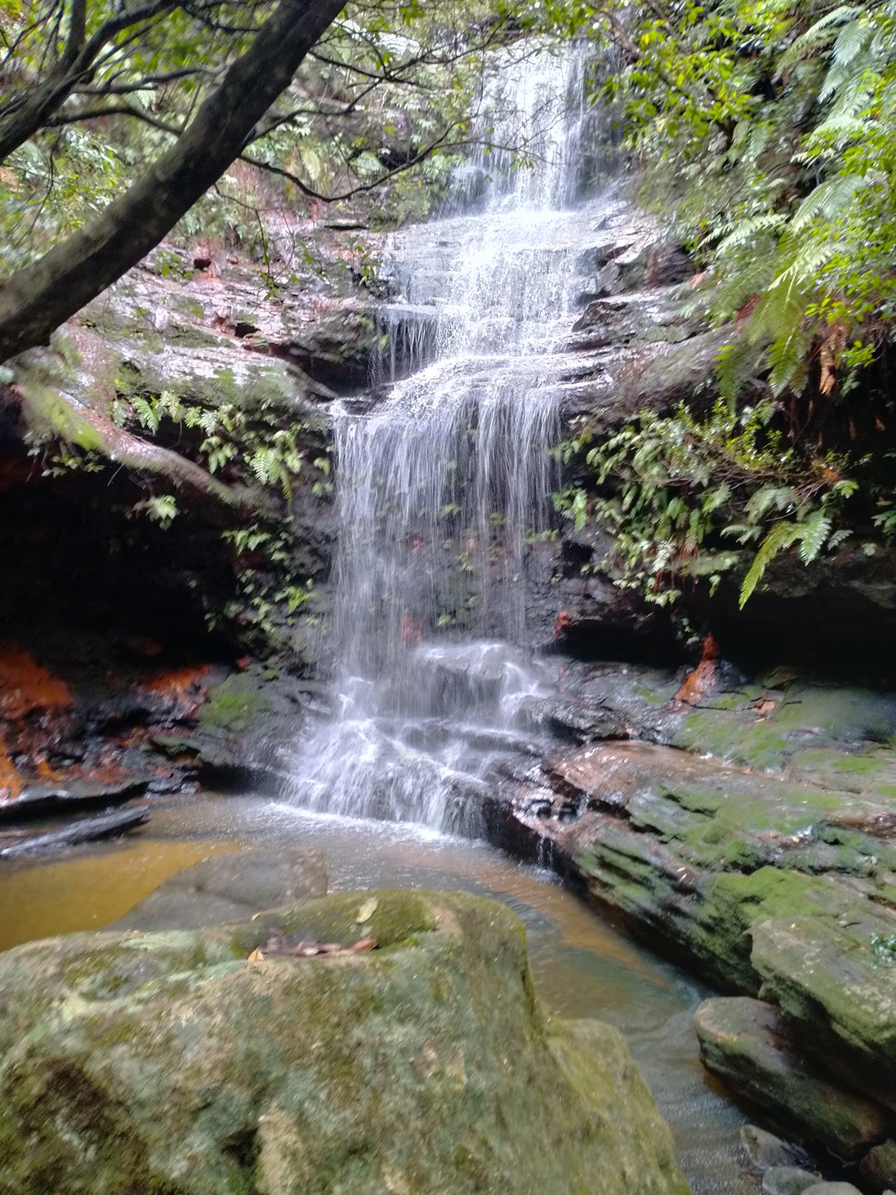 Scouts NSW | Scout Event